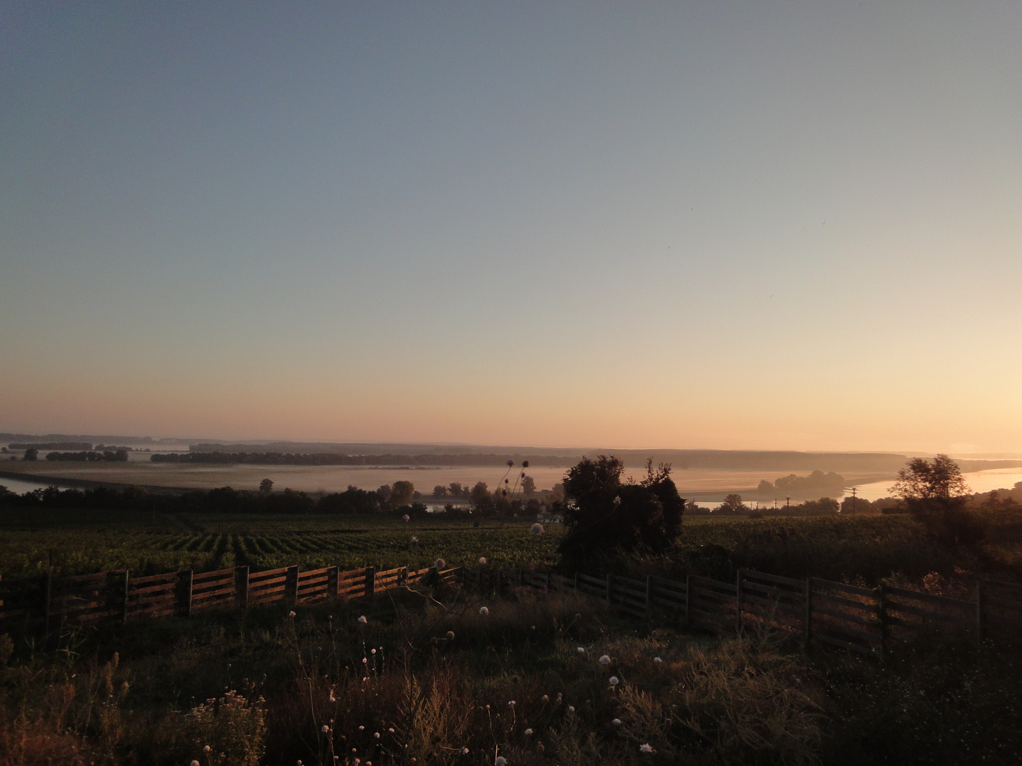 Home - walahiaetransalpine.ro